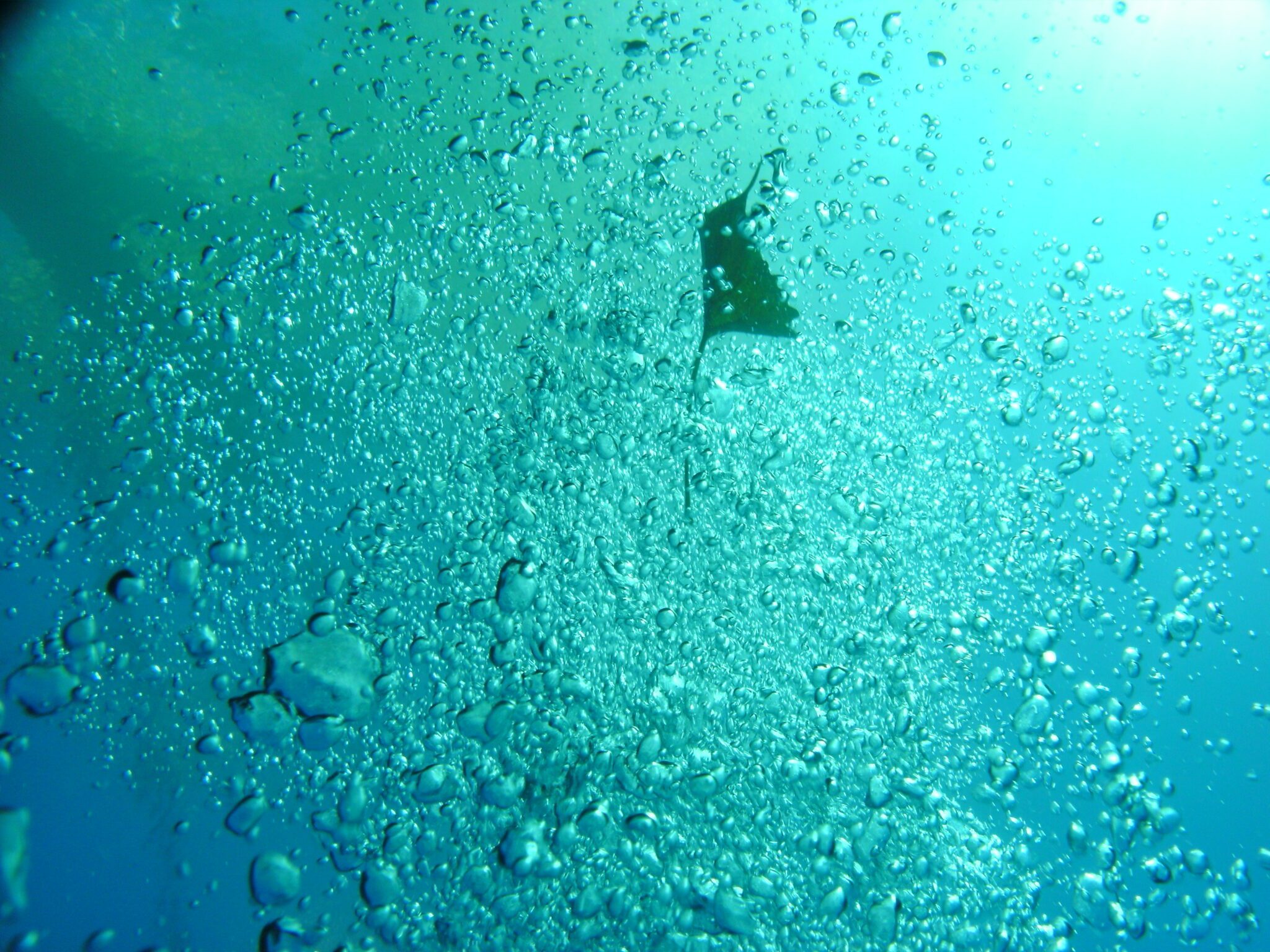 Blue Hole – David Hamby Design